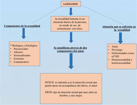Mapas Mentales De La Sexualidad Descargar