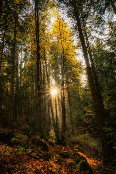 Miroslav Velev On Linkedin Този кадър го заснех над Златните мостове