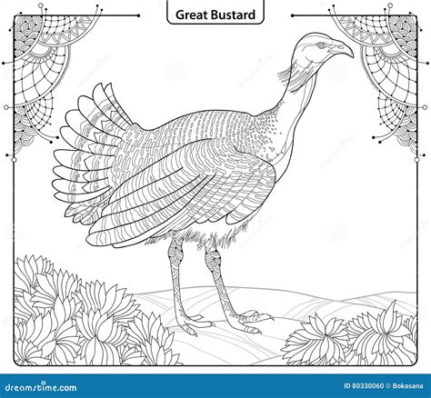 Vector Illustration With Male Great Bustard Or Otis Tarda In Contour