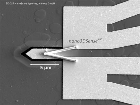 Tailored Sensors For Mems Nems Nanoscale Systems Nanoss Gmbh