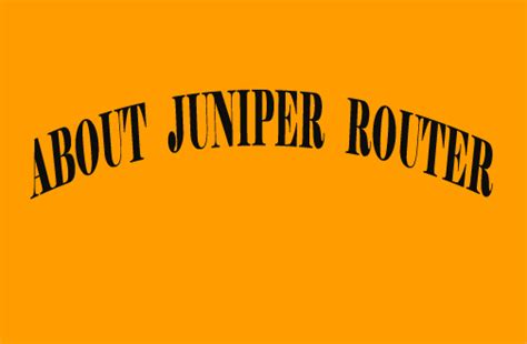 About Juniper Router Pollybd