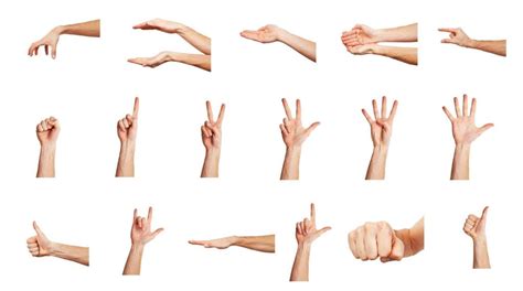 Gesture Involving Hitting One S Own Hand In Celebration