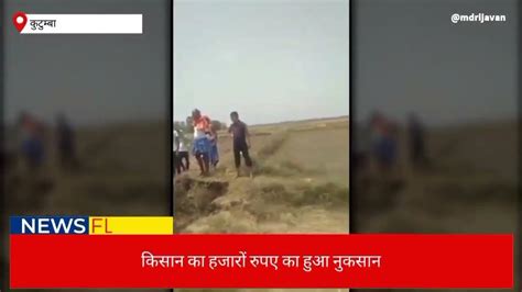 औरंगाबाद खलिहान मे रखे गेहूं के बोझे मे लगी आग सैकड़ों गेहूं के बोझे जल कर हुए राख Youtube