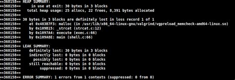 Memory Leaks Cprogramming