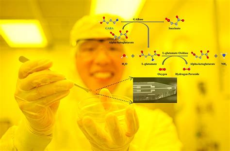 Uci Engineers Create Microsensor To Monitor Real Time Brain Activity