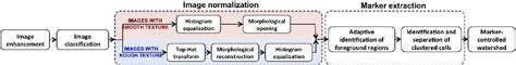 Figure 1 From An Automated Approach To The Segmentation Of Hep 2 Cells For The Indirect