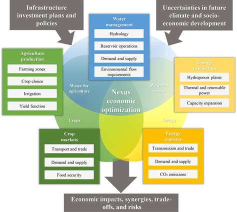 Conceptual Framework Of The Decision Support Tool The Water Download Scientific Diagram