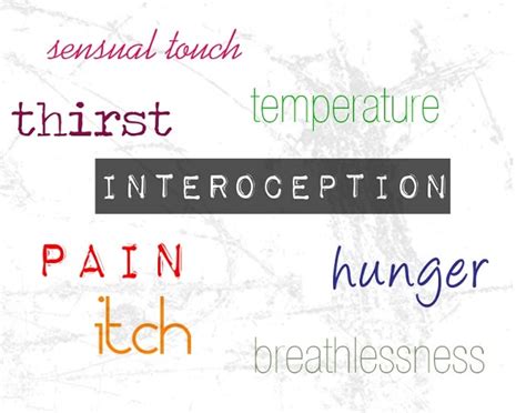 The Autism And Low Incidence Coaching Team Regulation Rendezvous Interoception The Eighth