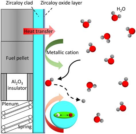 Schematic Diagram Of Released Ion On The Water Side Of Fuel Cladding In Download Scientific