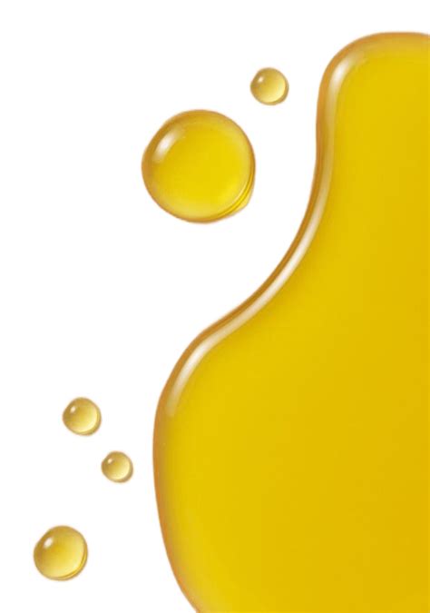 Production And Sale Of Lecithin Shiva Biochem Industries