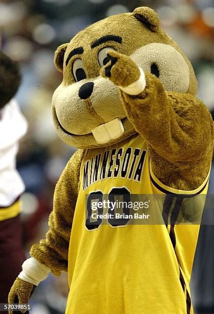Minnesota Gophers Mascot Photos And Premium High Res Pictures Getty