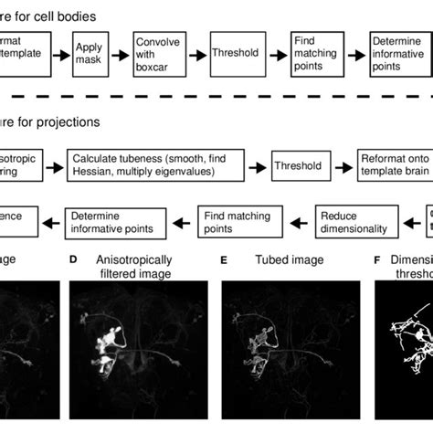 Assessment Of The Clone Identification Algorithm Using Download