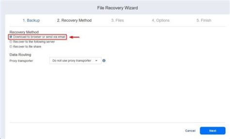 Back To Basics Nakivo Restore Vmware Vms • Nolabnoparty