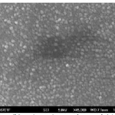 SEM Images Of A TiO B Ce N TiO And C Ce N TiO Download Scientific