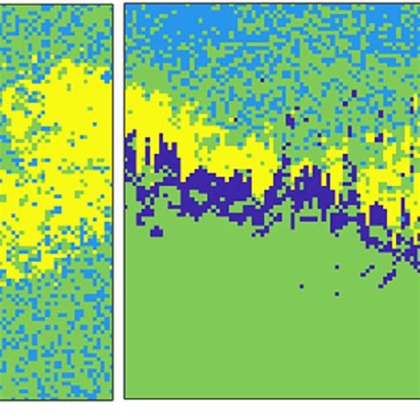 Model Output Of Vegetation Before And After Simulation Simulation For Download Scientific