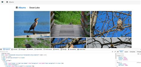 Images Vertically Stretched On Safari Issue Neptunian React Photo Gallery Github