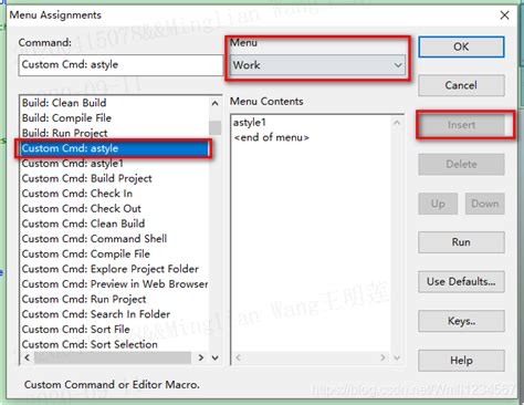 Source Insight的代码格式化配置和使用动画演示工具 Astylesource Inght格式化代码插件 Csdn博客