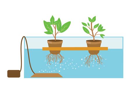 Types Of Hydroponic Systems Explained Proponics