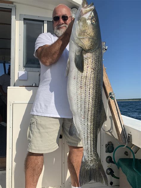 Randg Nice Job Steve Thank You John Meserve Steve Ray And Scott For A