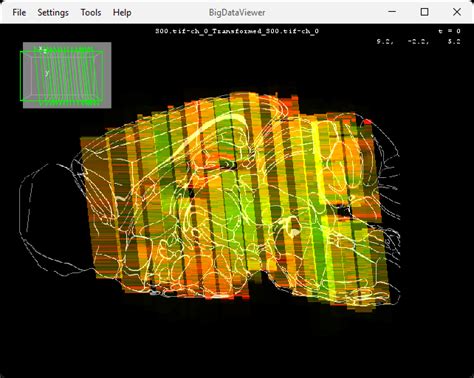 Coordinates In Slice To Atlas Using Abba Python Usage And Issues