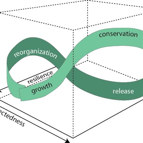 Shows Four Stages Of Ecosystem Dynamics Within The Adaptive Cycle Download Scientific Diagram