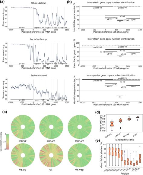 High Resolution Microbiome Analysis Enabled By Linking Of 16s Rrna Gene Sequences With Adjacent