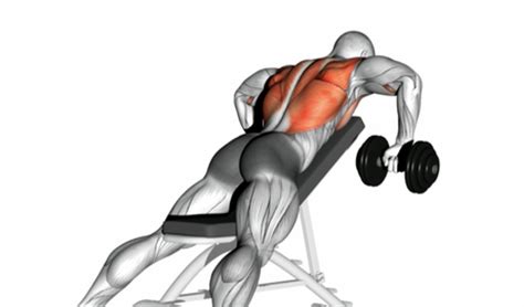 incline dumbbell row
