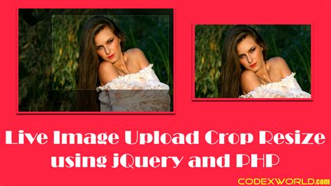 Live Image Upload Crop And Resize Using Jquery And Php Codexworld