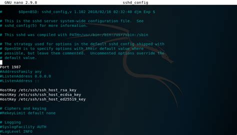 How To Setting Ssh Server On Kali Linux ~ It Dan Security Audit