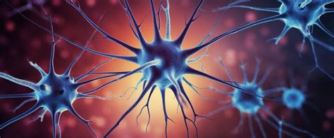 Neurons With Long Dendrites Connecting Illustrating Complex Neural Networks Premium Ai