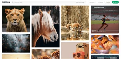 Obrázky Ke Stažení Zdarma Fotografie Bez Autorských Práv Kgcz