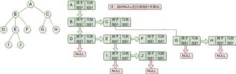 【数据结构】动图详解二叉树——堆及堆排序左孩子右兄弟表示法 Csdn博客