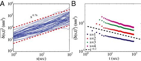 A And B Time Averaged Mean Square Displacement Ta Msd As A Function