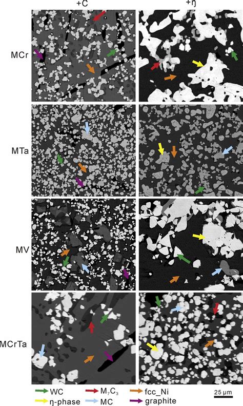 Microstructures Of WC Ni Based Model Alloys BSE C Indicates The Download Scientific