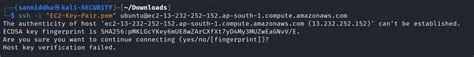 Amazon Web Services Unable To Connect To Ec2 Linux Instance In Aws
