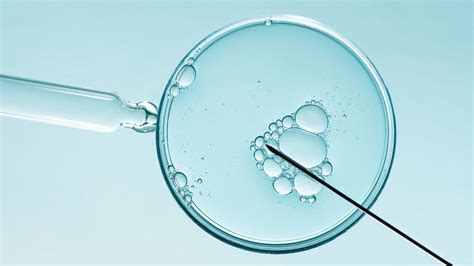 Fertility Inequality How Single Women Are Facing Ivf Discrimination And Financial Strain Uk