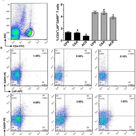 A Representative Fsc Ssc Dot Plot Shows The Gated Cd4 T Cells B Download Scientific