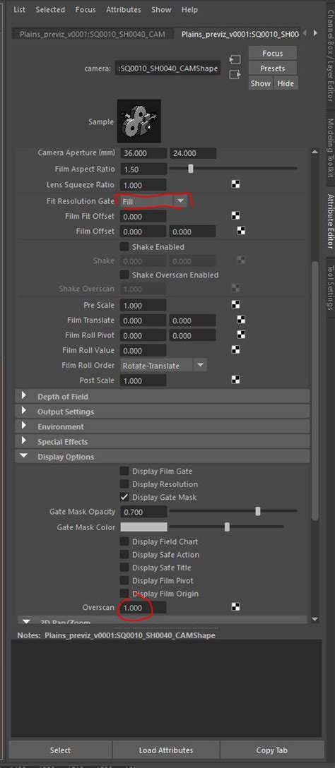 Issue With Maya Playblast Settings Forum Prism Pipeline