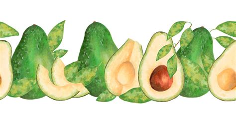 아보카도와 이음새가 없는 테두리 잎이 있는 전체 과일과 얇게 썬 과일 수채화 및 마커 그림 손으로 그린 고립 된 배경입니다 음식에 대 한 야채 배너 열대 테마 관련 디자인