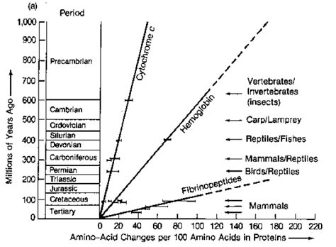 solved this graph shows the rate of evolution in three