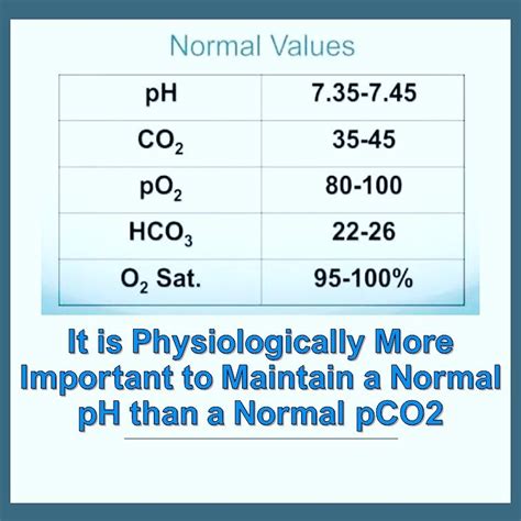 Hco3 Normal Range Vbg A Brief Guide Sinai Em