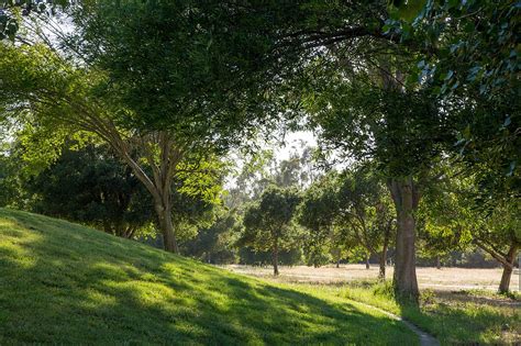 Exploring Baylands Park Sunnyvale A Nature Lovers Paradise