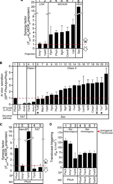 Figure 2 From Preprotein Conformational Dynamics Drive Bivalent Translocase Docking And