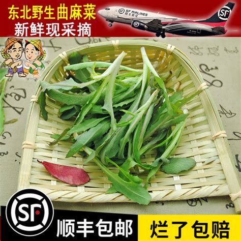 凉麻菜 凉麻 大山谷图库