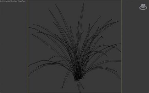 Free Grass 3d Model