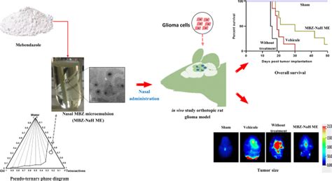 Preparation And Evaluation Of Mebendazole Microemulsion For Intranasal Delivery An Alternative