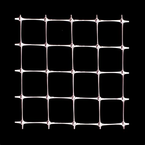 Bird Proofing Singapore Aerohub Pest Control Singapore