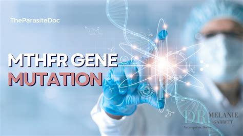 Mthfr Gene Mutation By Dr Melanie Garrett Nd Fort Mcmurray