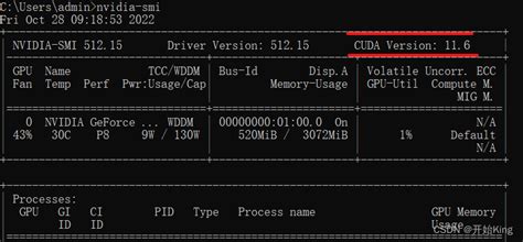 Pytorch和torchvision的gpu版本安装查验pytorch是否使用gpu时返回错误 Csdn博客