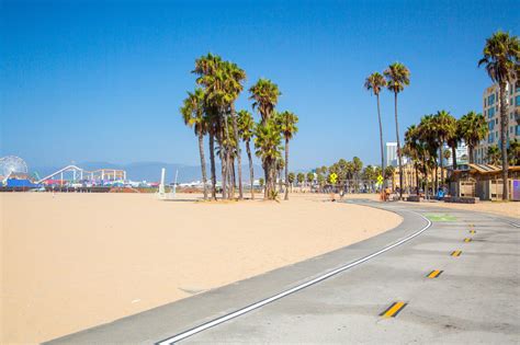 Venice Beachs Instagram Twitter And Facebook On Idcrawl